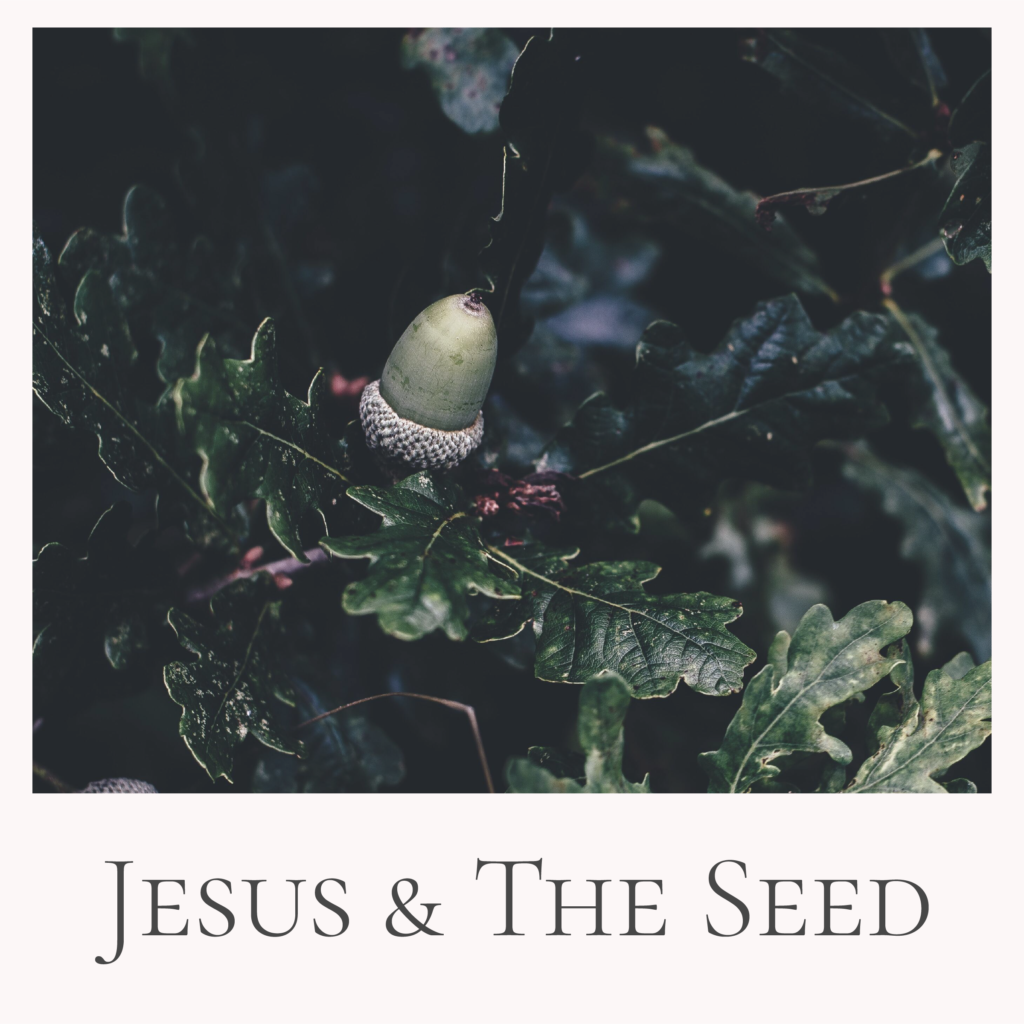Jesus & The Seed // John Clarke - Hull Vineyard Church